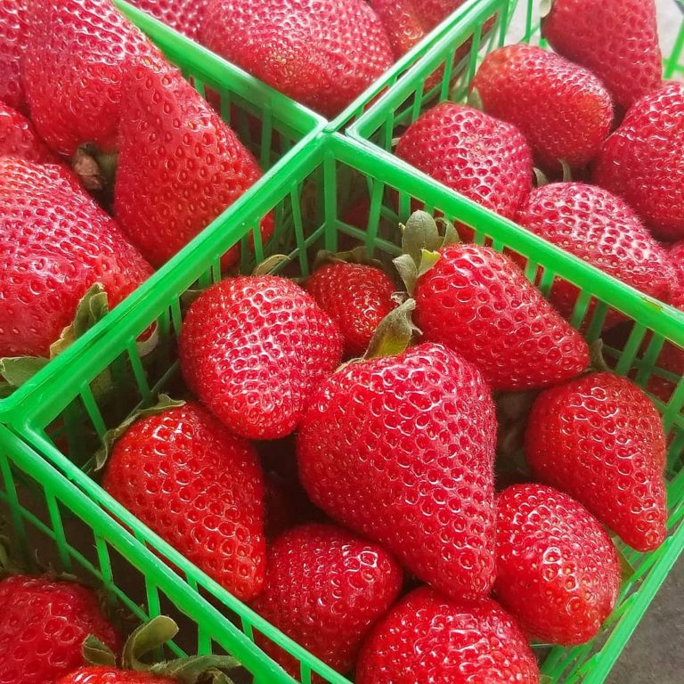 25 Outdoor Activities In & Around Baton Rouge | Red Stick Life