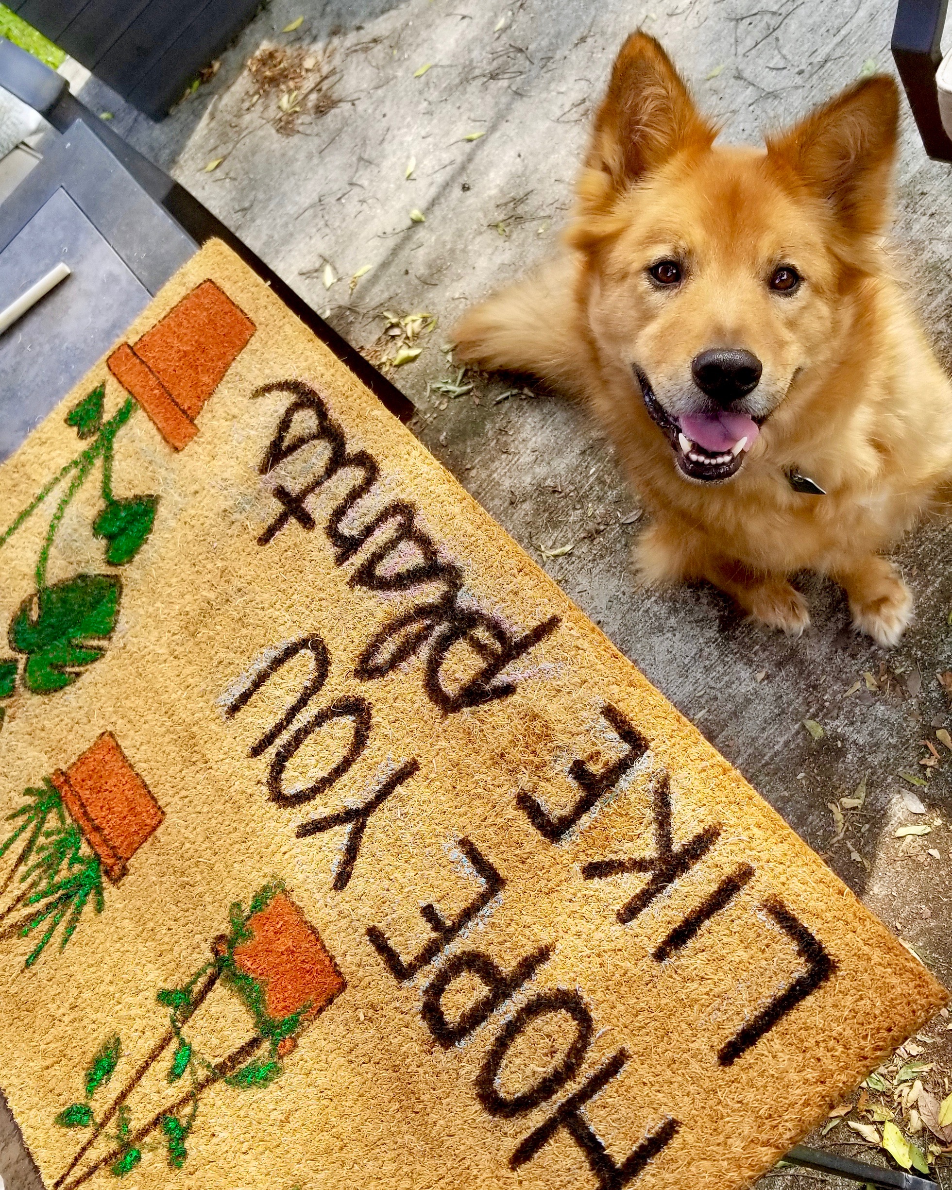 Easy DIY Welcome Mat | Red Stick Life