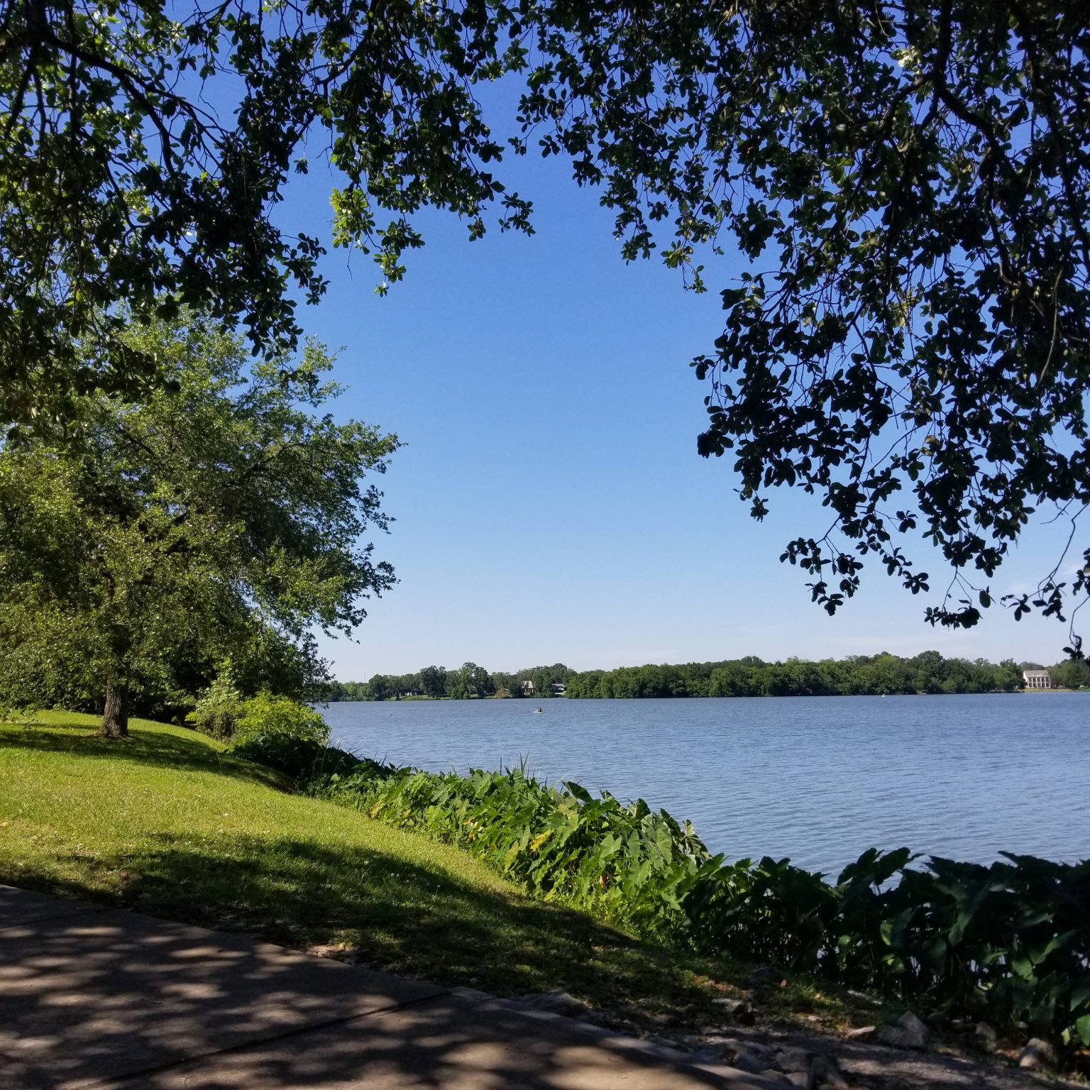 25 Outdoor Activities In & Around Baton Rouge | Red Stick Life